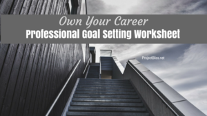 Own Your Career: Professional Goal Setting Worksheet - Project Bliss