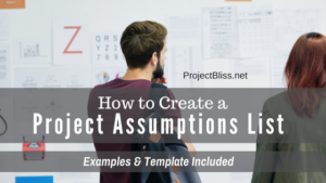 How to Create a Project Assumptions List: Examples and Template ...