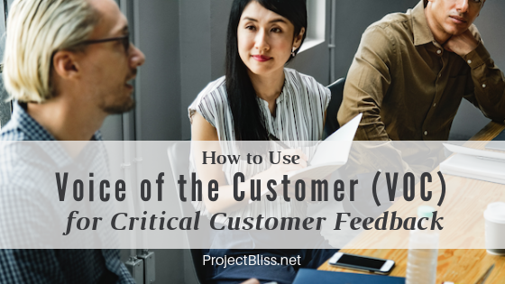 How to Use Voice of the Customer (VOC) for Critical Customer Feedback ...