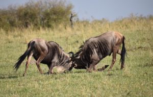 Productive Conflict at Work: Simple Guidelines to Keep it Positive ...